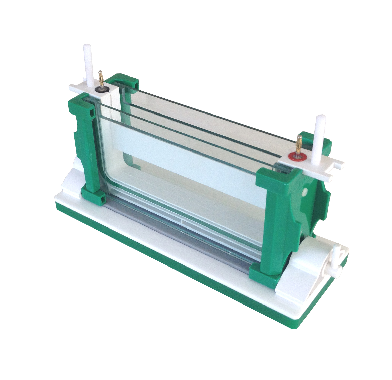 Vertical Electrophoresis (2 gels, 186 x 95mm)